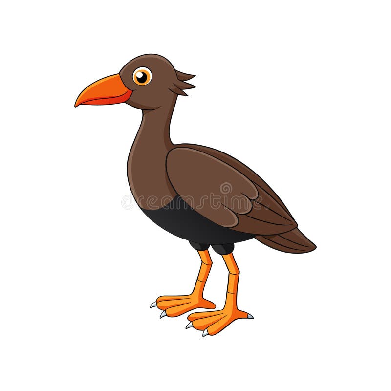 Vivid Sora Bird Captured in Color Stock Illustration - Illustration of ...