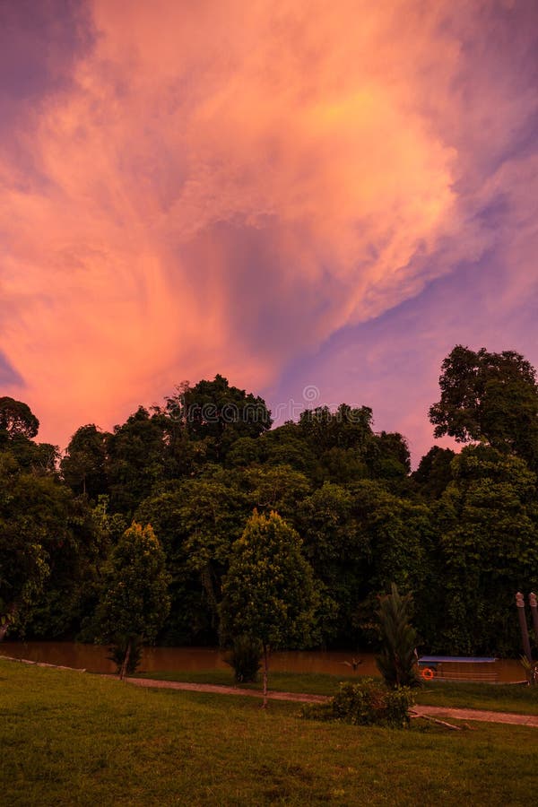 Vivid Sunset Clouds and Trees Stock Photo - Image of sunset, light ...