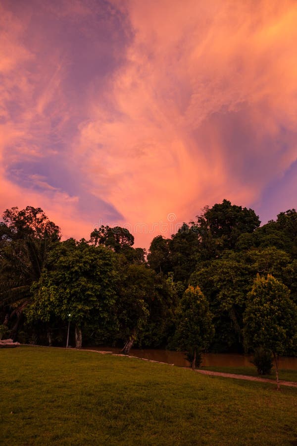 Vivid Sunset Clouds and Trees Stock Image - Image of epic, heaven ...