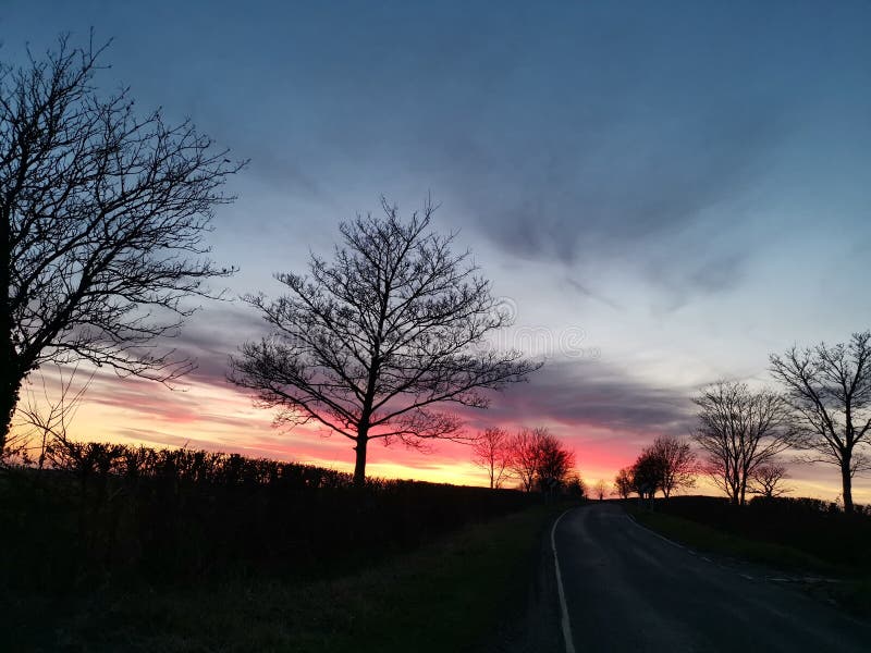 Vivid sunset trees stock image. Image of sunrise, horizon - 232488123