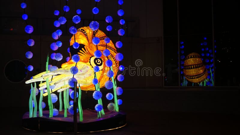 Vivid Sydney Light Installation Marine Life Editorial Stock Photo ...