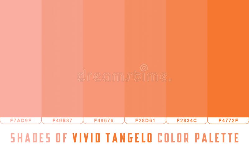 Vivid Tangelo Tone Color Shade Background with Code and Name ... Vivid Tangelo Tone Color Shade Background with Code and Name ...