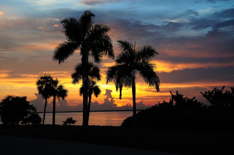 Vivid Tropical Sunset Horizontal Stock Image - Image of nimbus, black ...