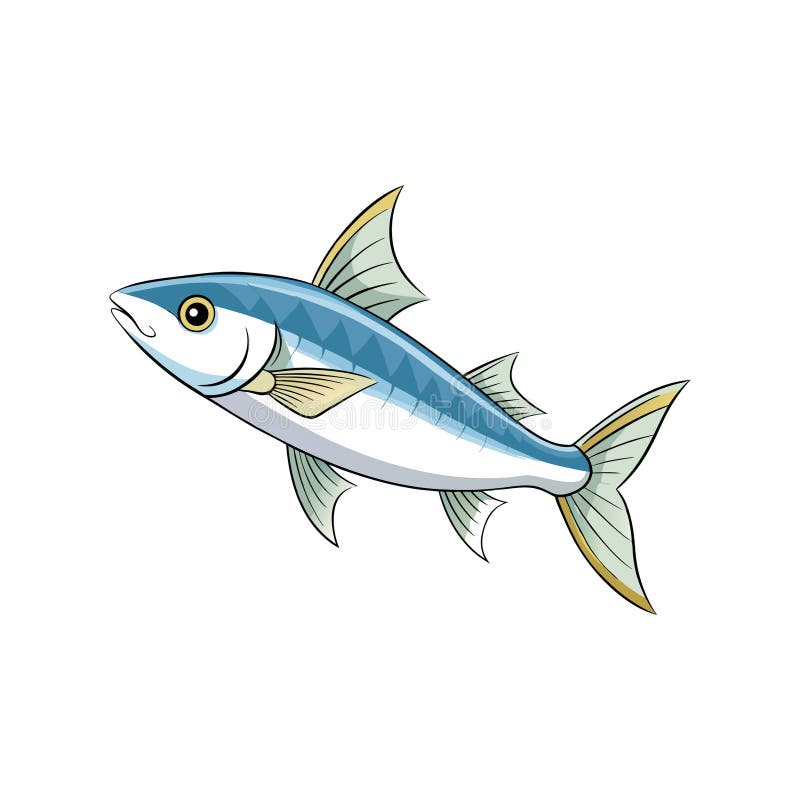 Vivid Whitehooked Mullet Fish Color Display Stock Illustration ...