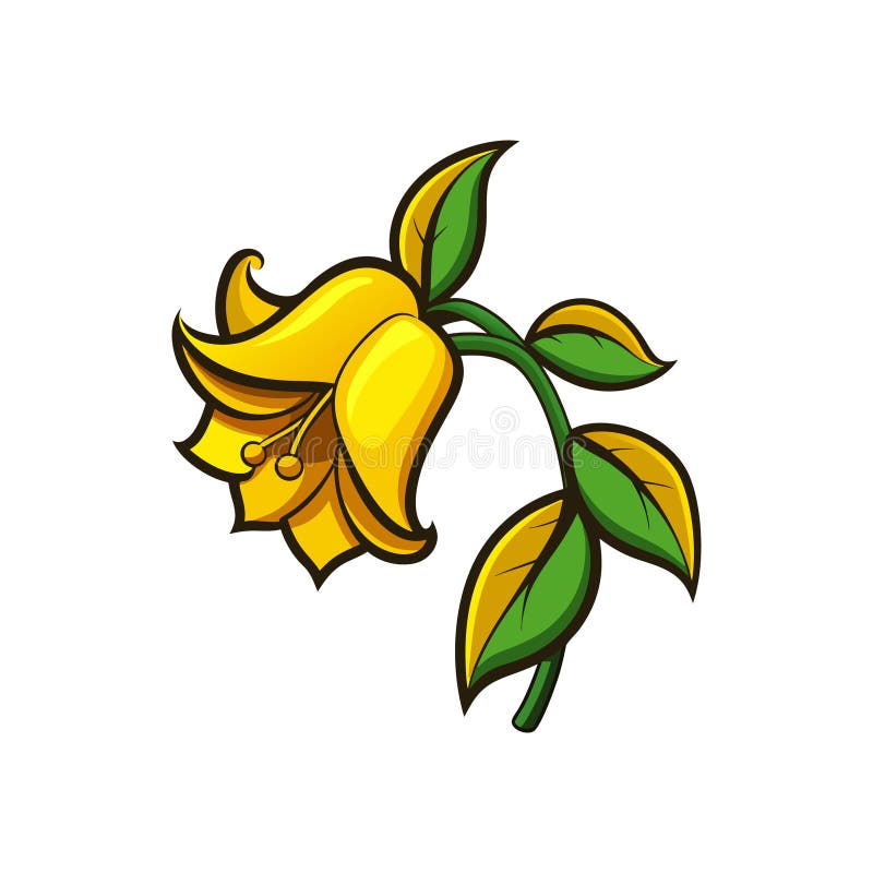 Vivid Yellow Bell Vine Flower in Full Bloom Stock Illustration ...