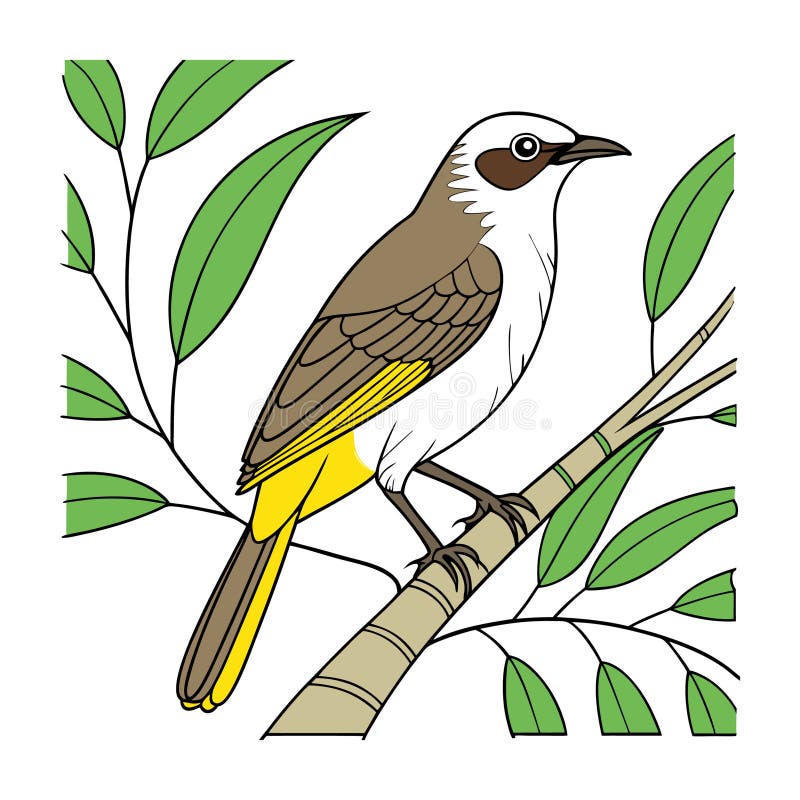 Vivid Yellow-vented Bulbul Bird Design Stock Illustration ...