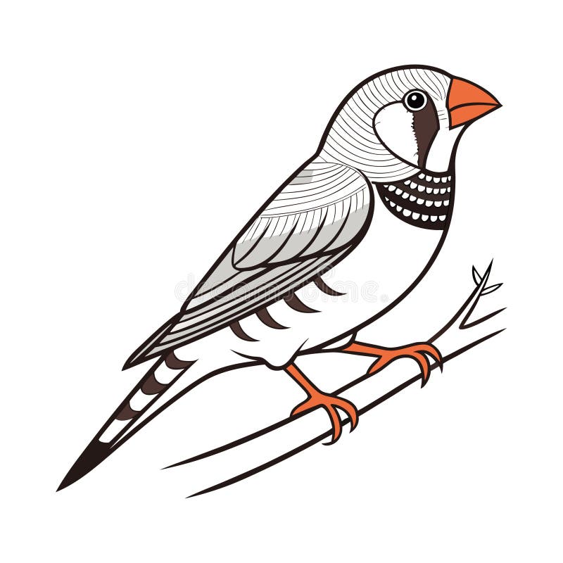 Vivid Zebra Finch Bird Design Stock Illustration - Illustration of ...