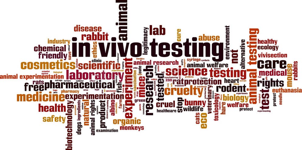 In vivo testing word cloud stock vector. Illustration of research ...