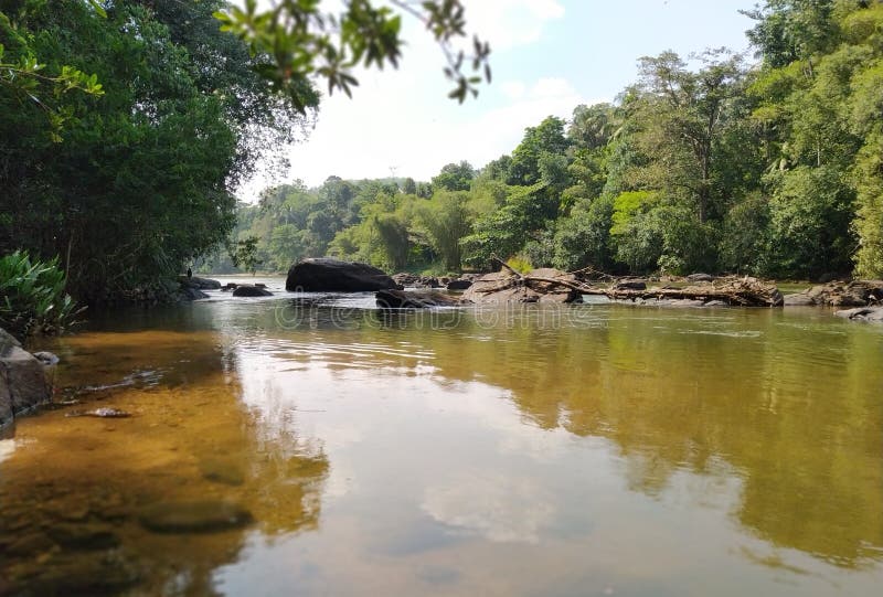 The viwe stock photo. Image of canal, reflection, nature - 251964564