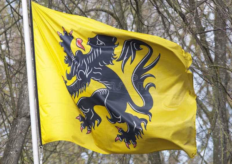 Vlaamse vlag stock afbeelding. Image of zwart, belgië - 33169345