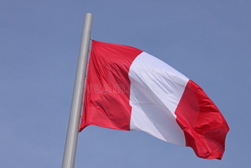 Vlag van Peru stock afbeelding. Image of ambtenaar, genaturaliseerd ...