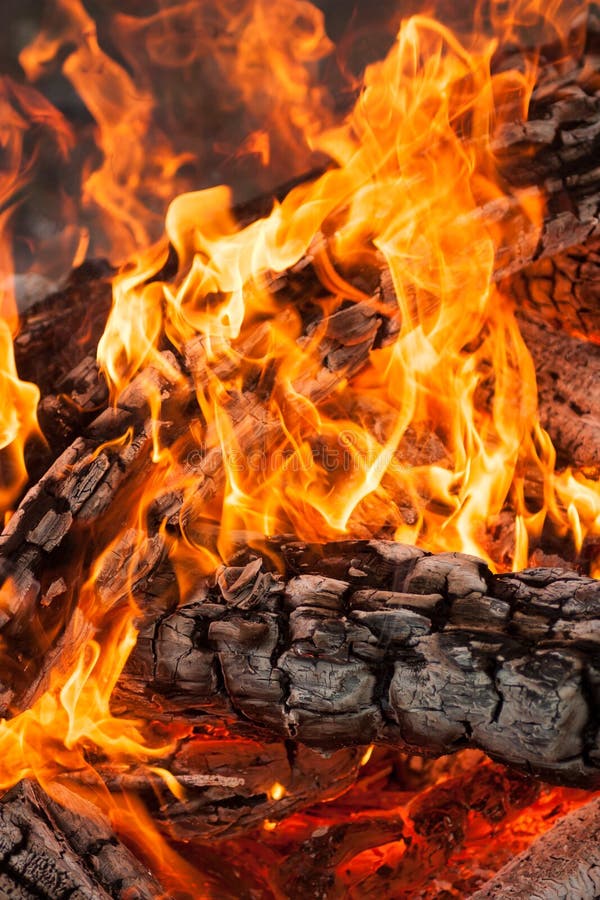 Vlam stock afbeelding. Image of rooster, helder, rood - 37051649