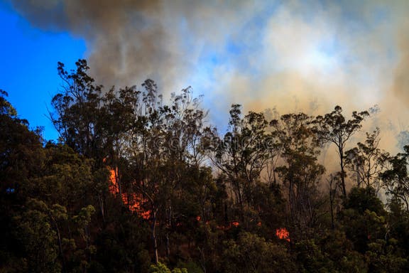 Vlammen en Rook stock afbeelding. Image of gebrand, vlam - 34946581