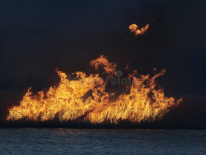 Vlammen Op Gebied Tijdens Brand Stock Afbeelding - Image of schade ...