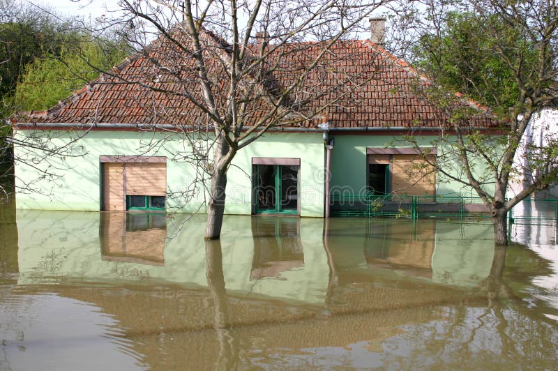 Natuurramp Op De Boerderij. Overstroomd Veld Met Zaailingen Van ...