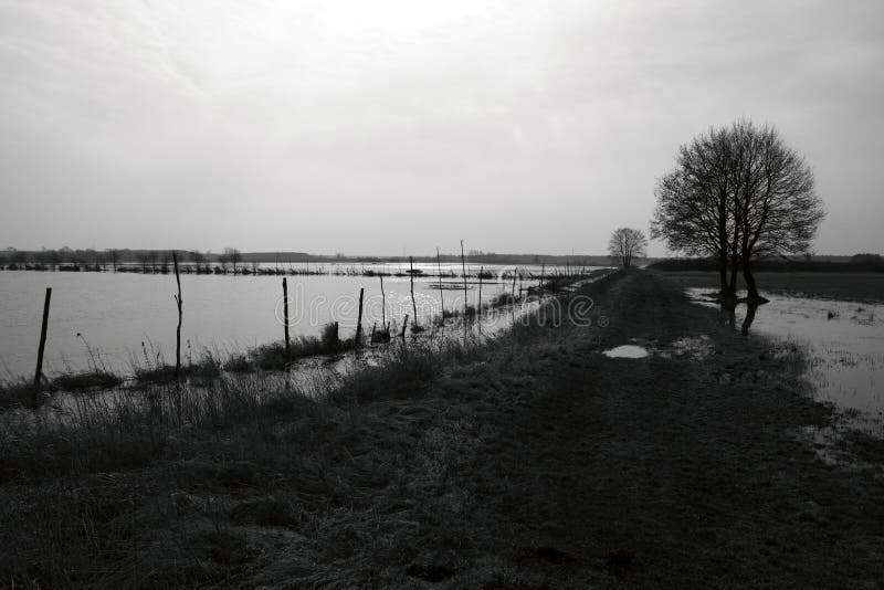 Vloed Op Zwart-witte Weide - Stock Foto - Image of vulklei, gras: 4551880