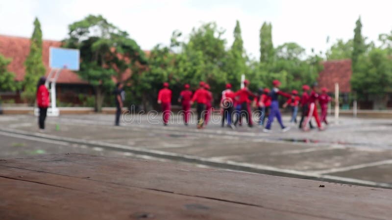 High School Students Line Up in the School Yard Stock Footage - Video ...