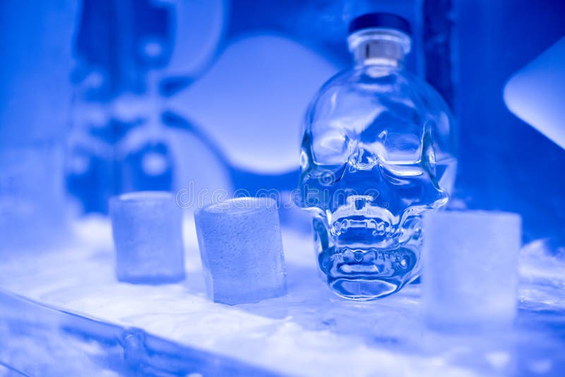 Vodka ice bar stock photo. Image of skull, bottles, beverage - 160804852