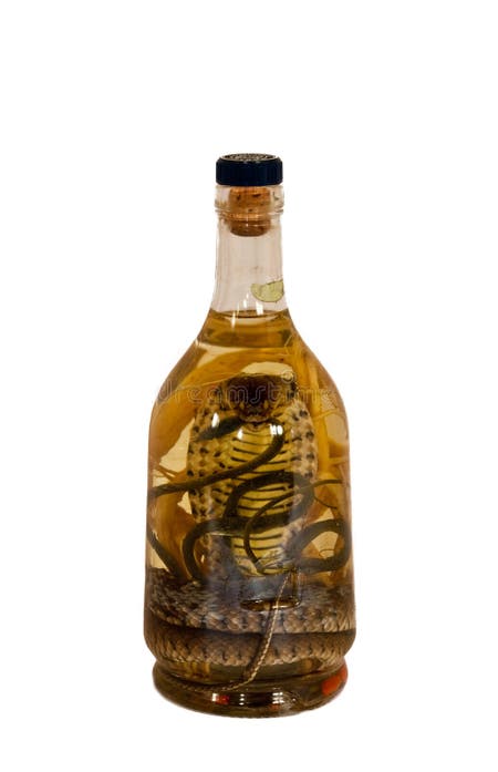 Vodka with Snake in a Bottle Stock Image - Image of alcohol, snake ...