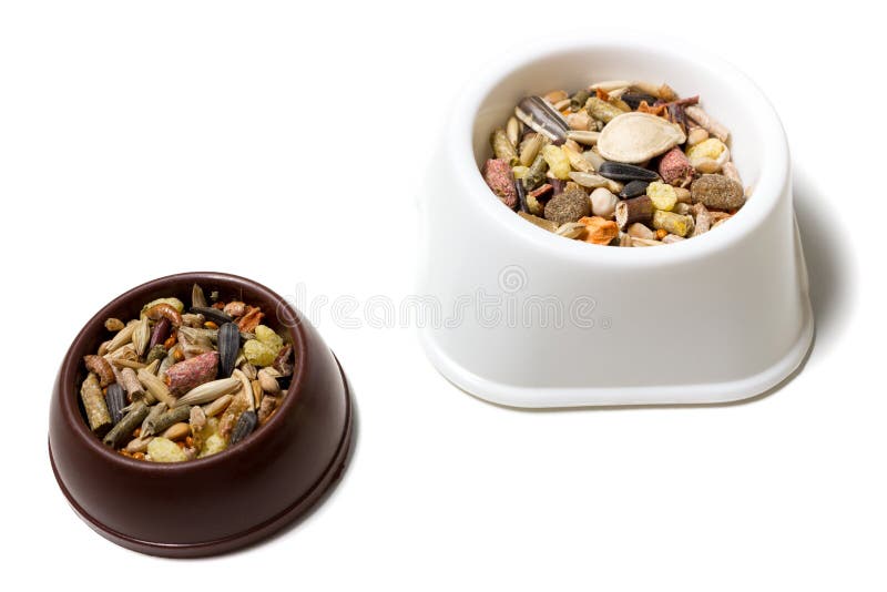 Voeder Met Knaagdier` S Voer Stock Afbeelding - Image of voeder ...