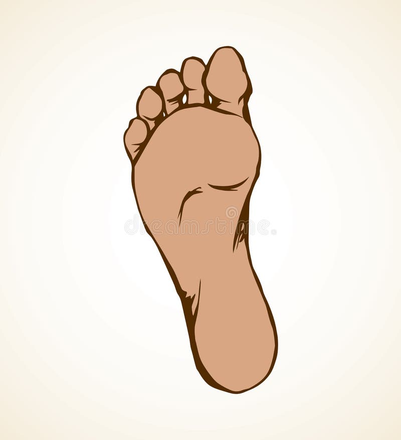 Voet Vector tekening vector illustratie. Illustration of medisch ...