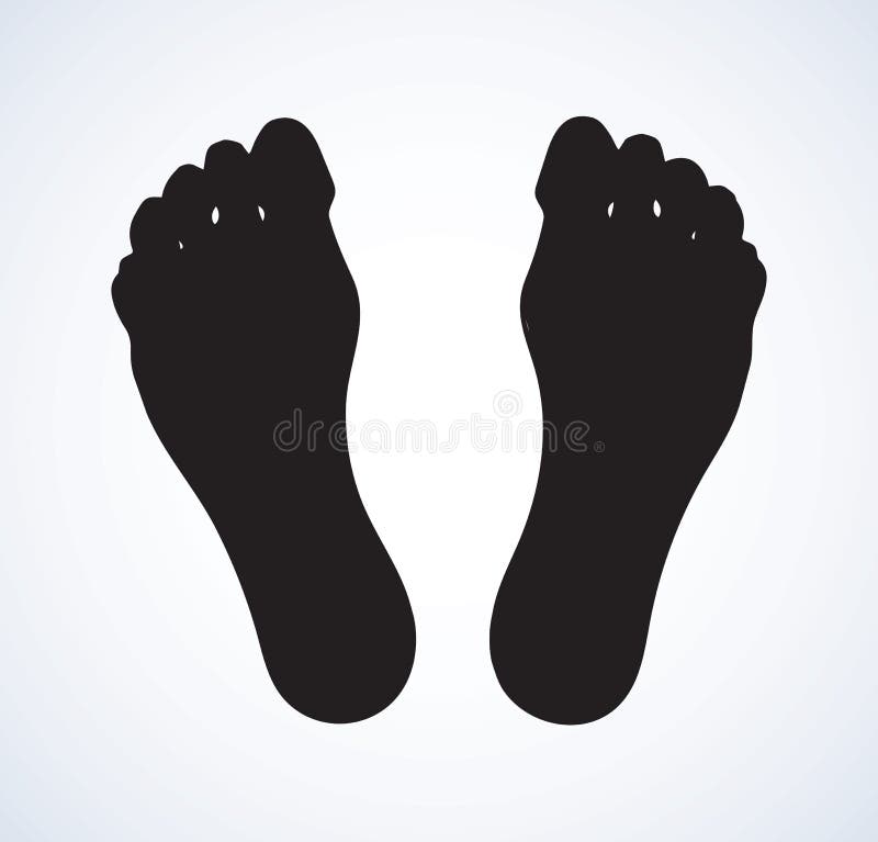 Voet Vector tekening vector illustratie. Illustration of menselijk ...