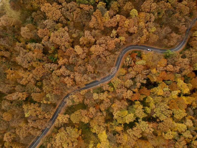 Vogelperspektive Der Straße Im Bunten Orange Wald Bei Sonnenuntergang ...
