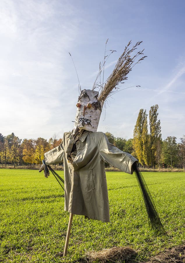 Vogelverschrikker Op Organisch Landbouwbedrijf Met Stock Foto - Image ...
