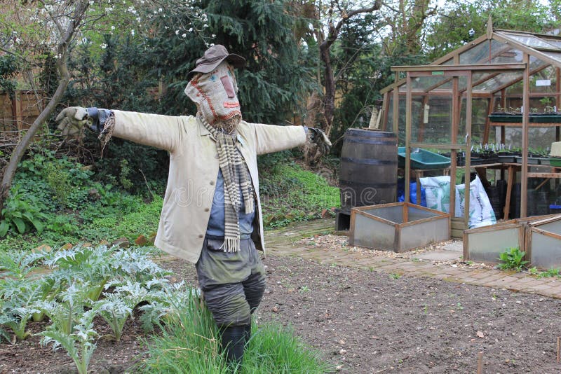 Vogelverschrikker in Engelse Tuin Stock Afbeelding - Image of groenten ...