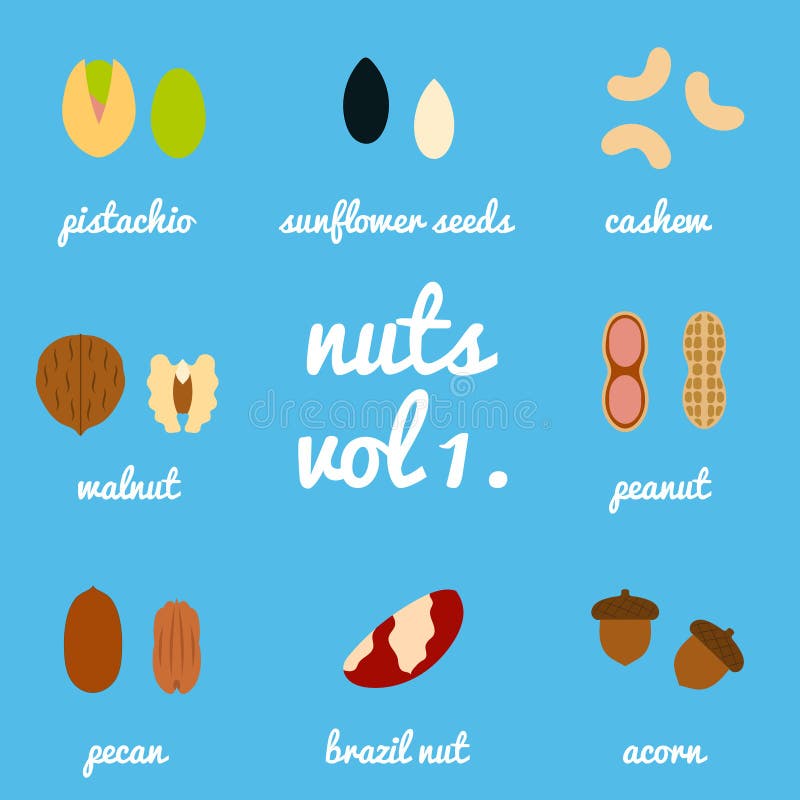 Vol 1. Nuts and Seeds Icon Set Stock Vector - Illustration of flat ...