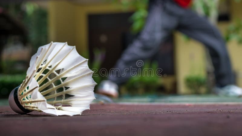 Volano Sul Campo Da Badminton All'aperto Fotografia Stock - Immagine di ...
