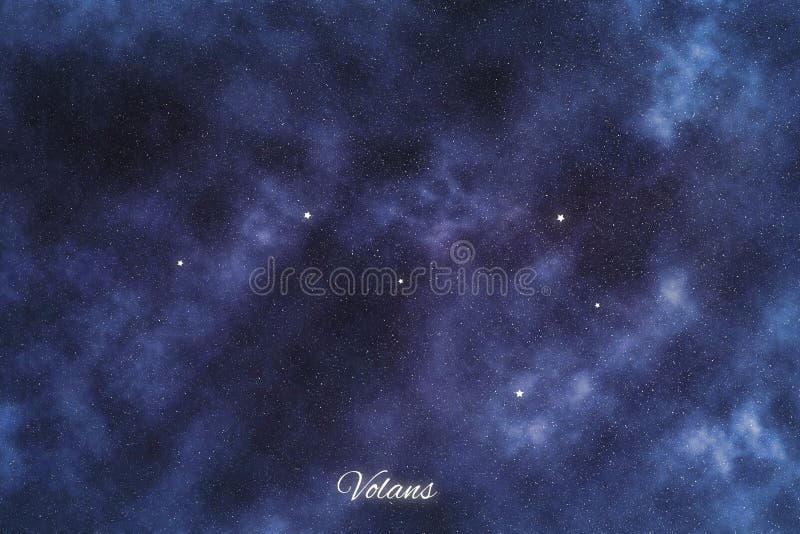 Volans Star Constellation, Brightest Stars , Flying Fish Stock Photo ...