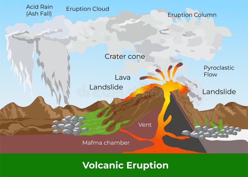 Volcanic Eruption Educational Poster about Wild Nature Stock Vector ...