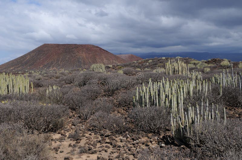 Volcanic plain on Tenerife stock image. Image of europe - 27538457