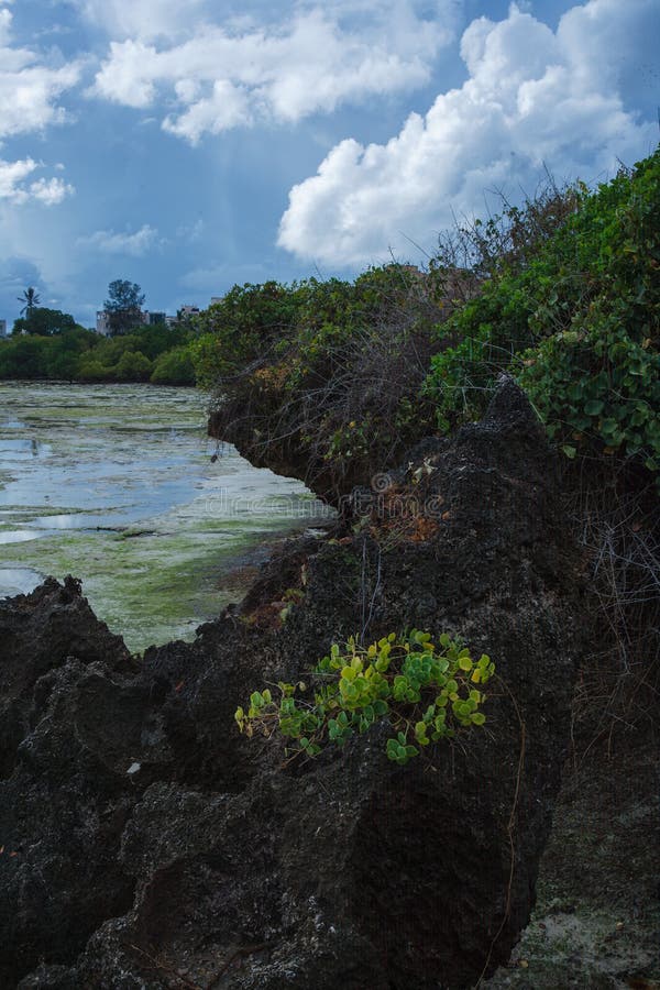 Rock Formations Rise from the Forest at Castle Rocks State Park in ...