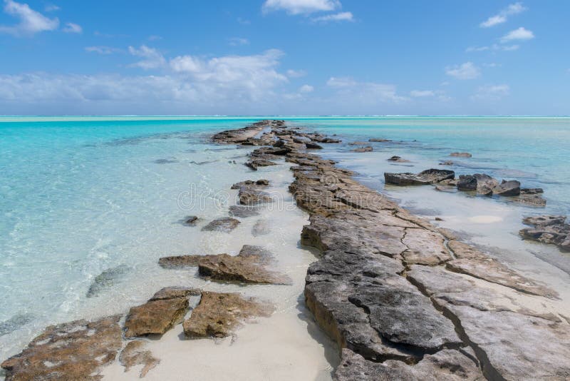 Path to the ocean stock photo. Image of cape, fynbos - 71123724
