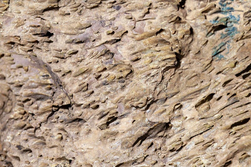 Volcanic rock with pores stock photo. Image of grunge - 295867010