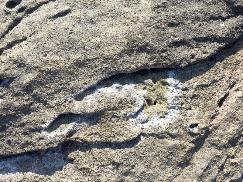 Volcanic Rock with Salt Damaged Stock Photo - Image of closeup, salt ...