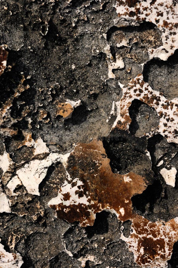 Volcanic Rock Texture stock photo. Image of black, color - 20944466