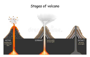 Dormant Stock Illustrations – 4,841 Dormant Stock Illustrations ...