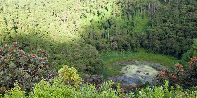 Volcano crater stock image. Image of exotic, mauritius - 37543555