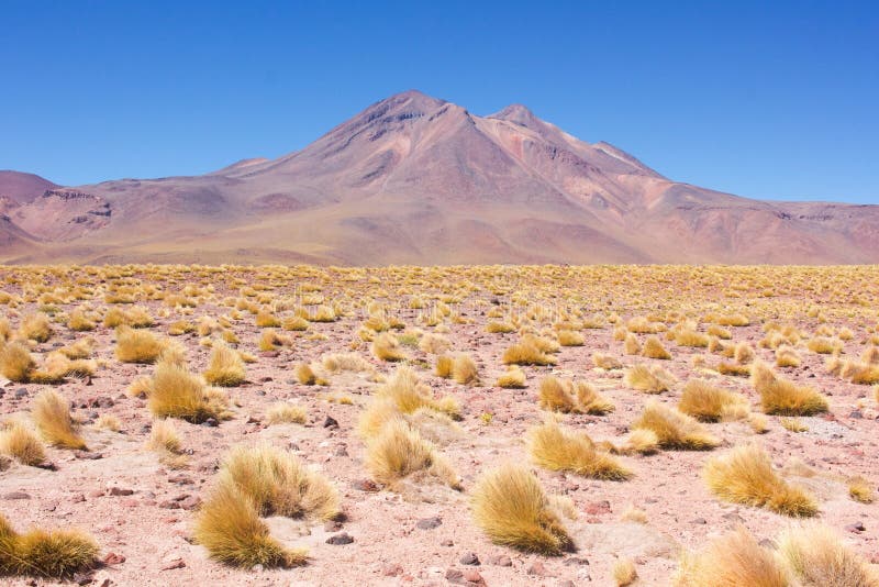 Volcano in the desert stock photo. Image of atacama, travel - 69798178