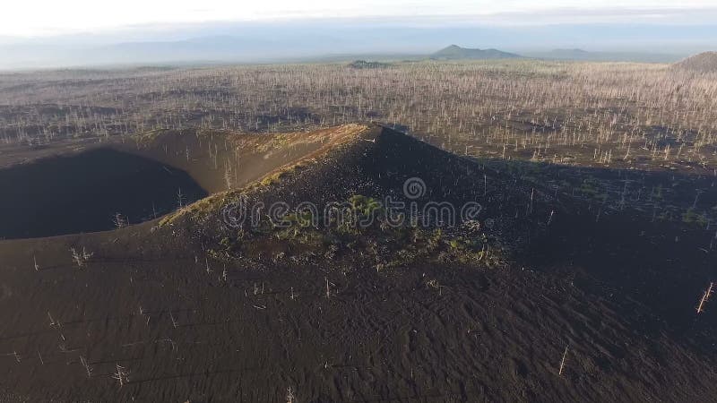 Volcano. Forest after a Volcanic Eruption. Burnt Forest. the Lava of ...