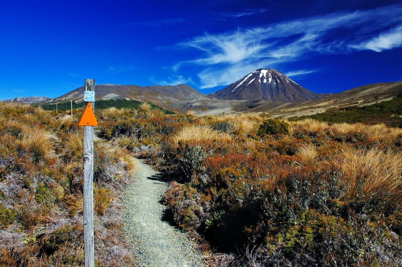 Volcano Ngauruhoe - Tongariro NP Stock Image - Image of climb, mountain ...
