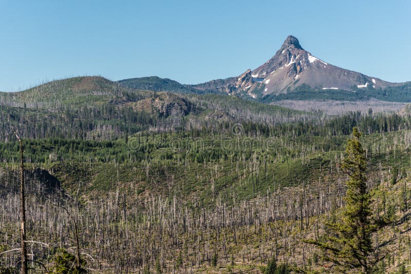 Volcano in the Oregon Cascade Range Stock Photo - Image of crest ...