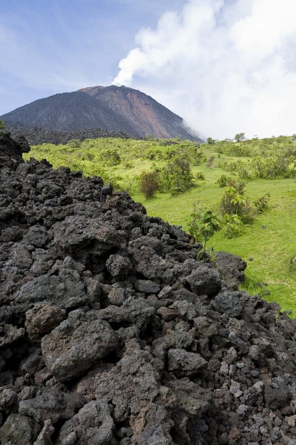 Volcano Pacaya stock photo. Image of active, landscape - 6470900