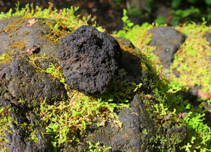 Volcano Rock stock image. Image of effect, rock, sunlight - 38134251