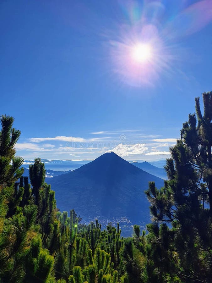 Volcano and Sun through Trees Stock Photo - Image of wilderness, meadow ...