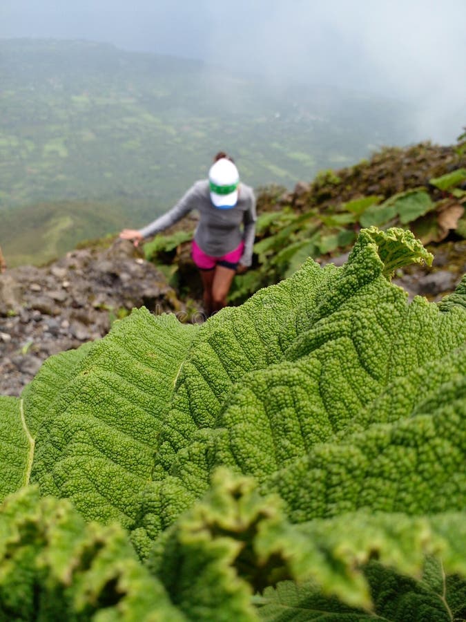 Volcano Tour Landscape Hiking Editorial Stock Photo - Image of hiking ...
