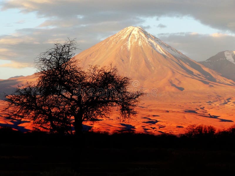 Volcano and Tree Silhouette Stock Image - Image of silhouette, sunset ...